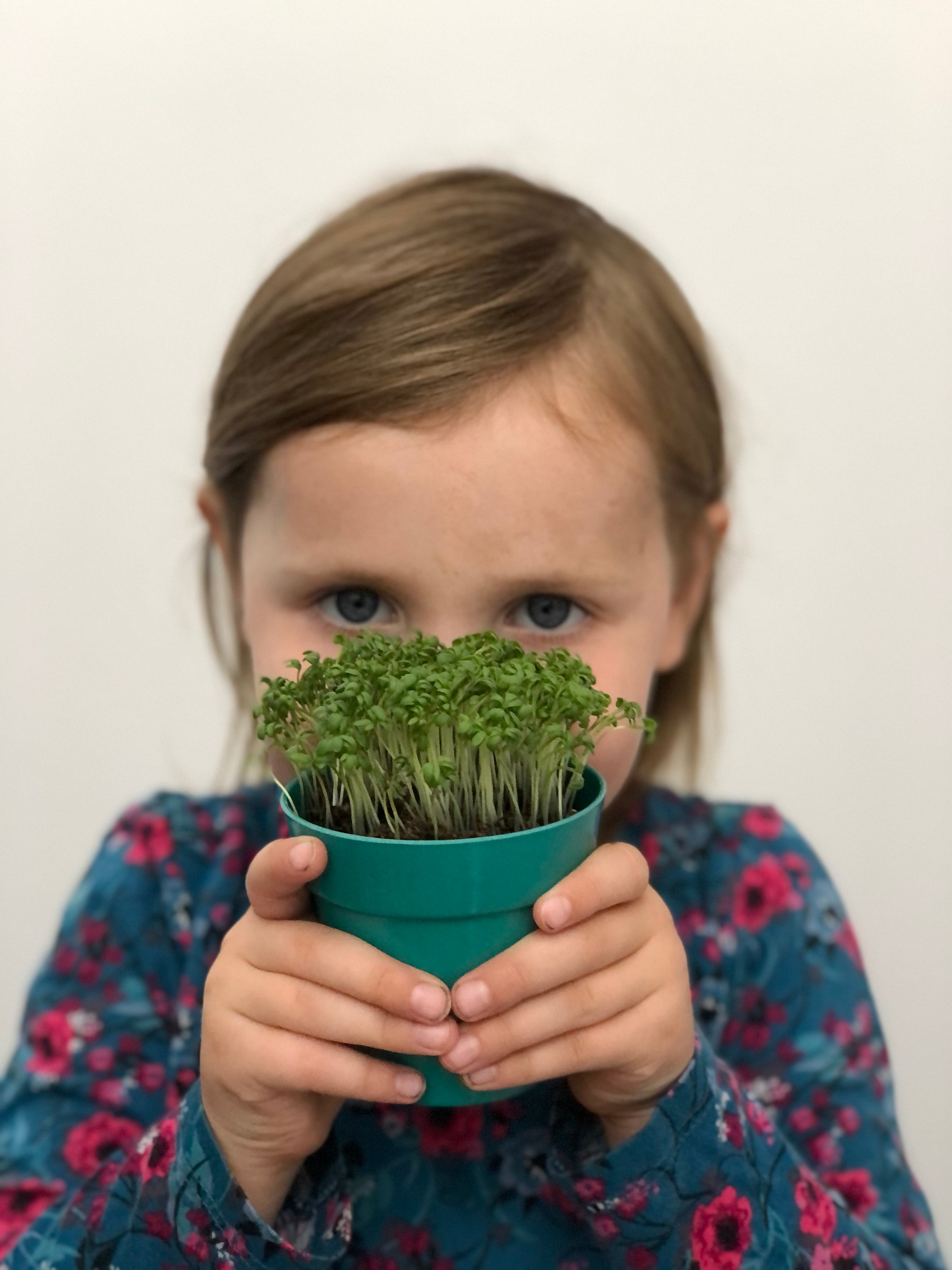 Gardening for Kids' Guide to Growing Plants from Seed