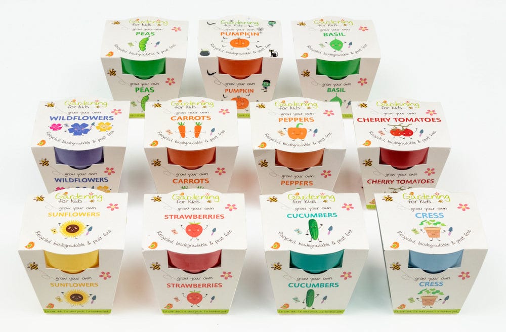 Cress Growing Kit with Pot|Grow your own cress — Gardening for Kids