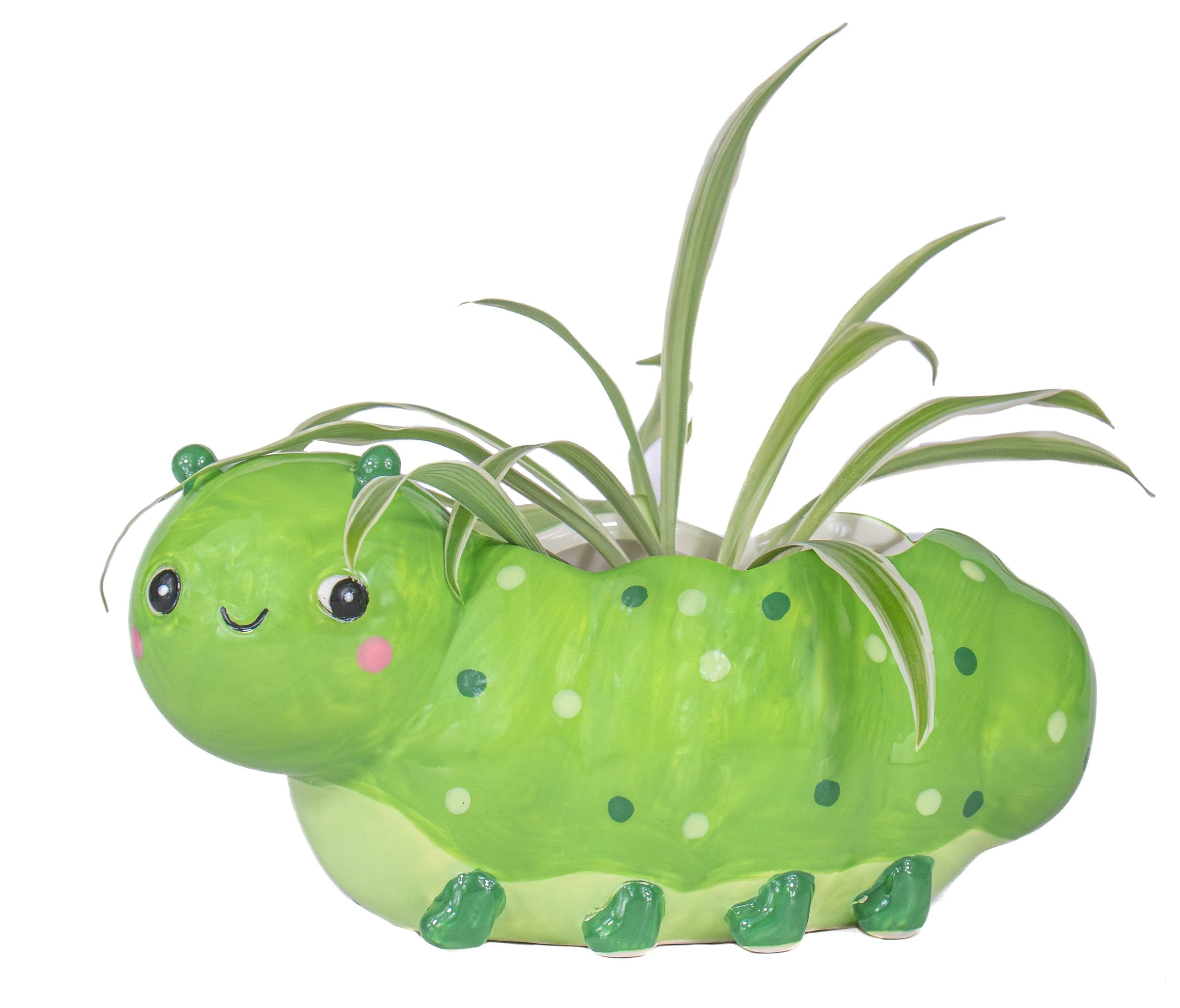 Caterpillar Mini Planter — Gardening for Kids