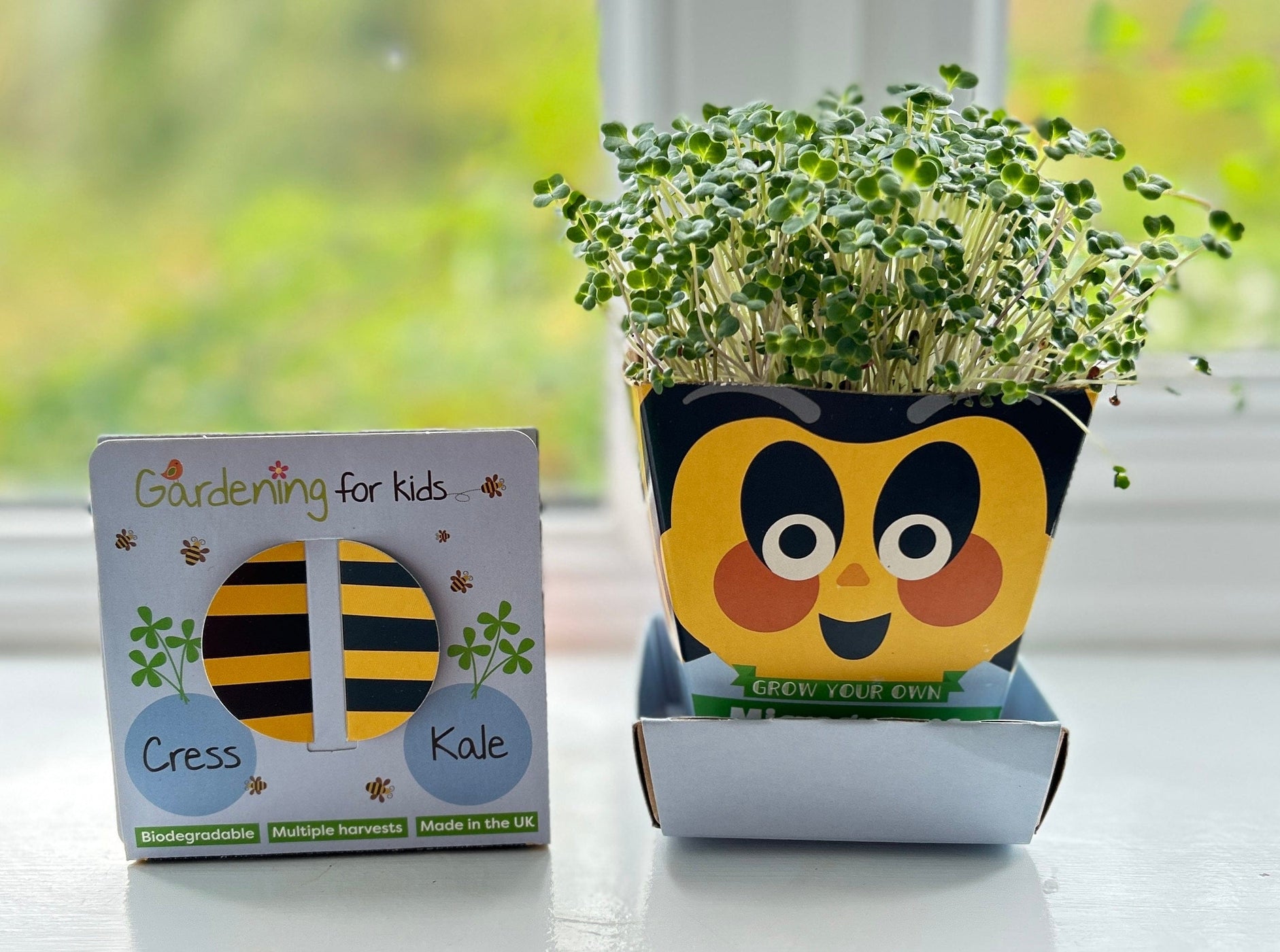 Children's Microgreens Growing Kit - Kale — Gardening for Kids