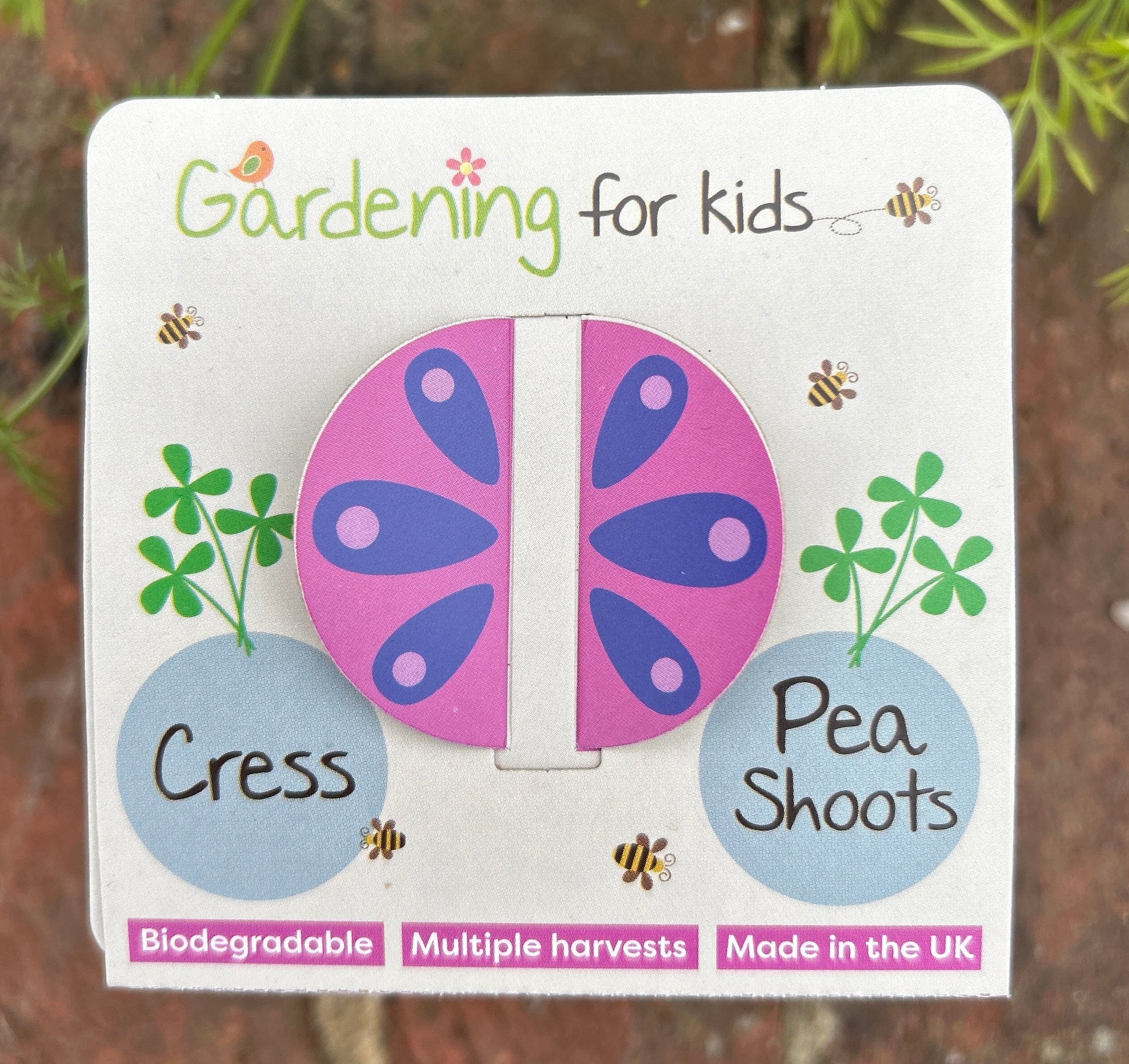 Children's Microgreens & Cress Head Growing Kit - Pea Shoots ...