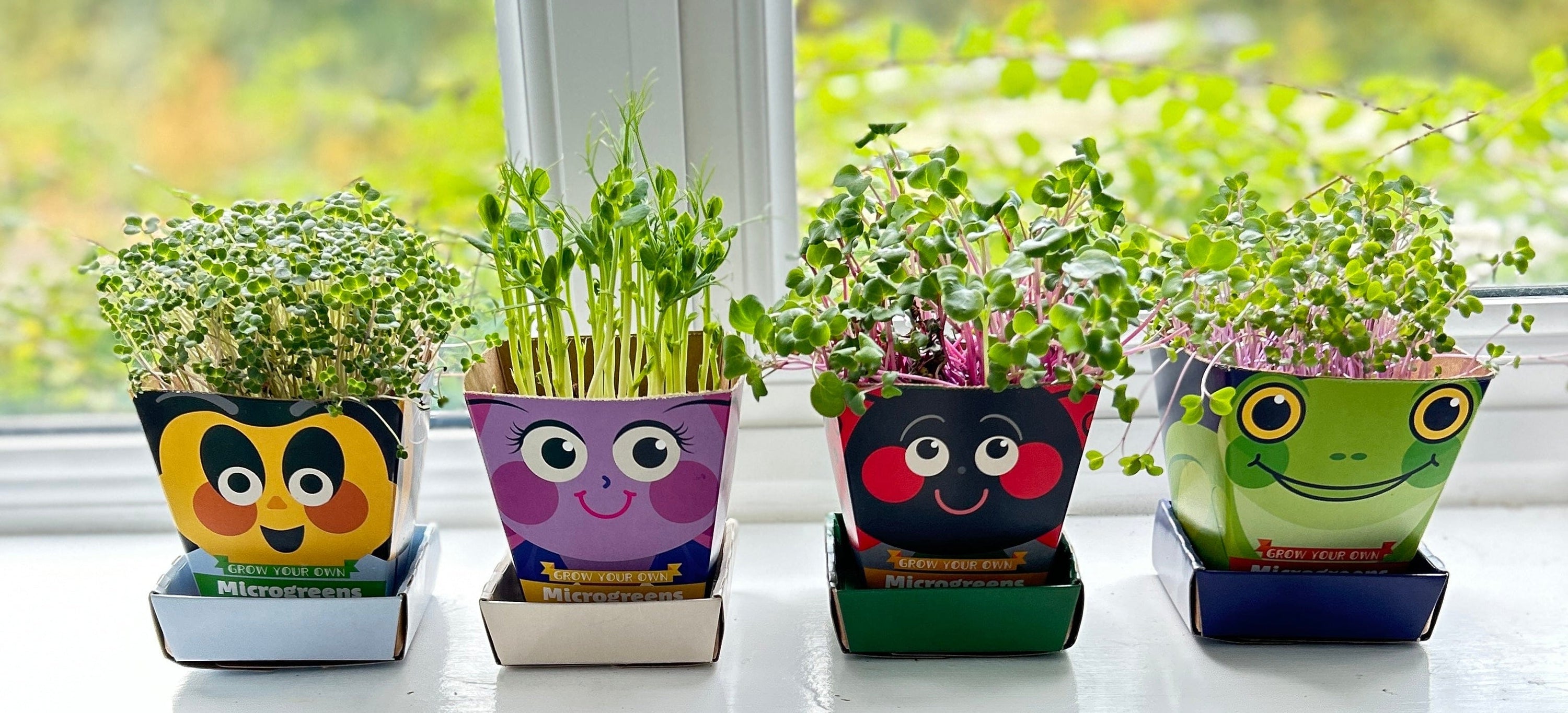 Children's Microgreens & Cress Head Growing Kit - Pea Shoots ...