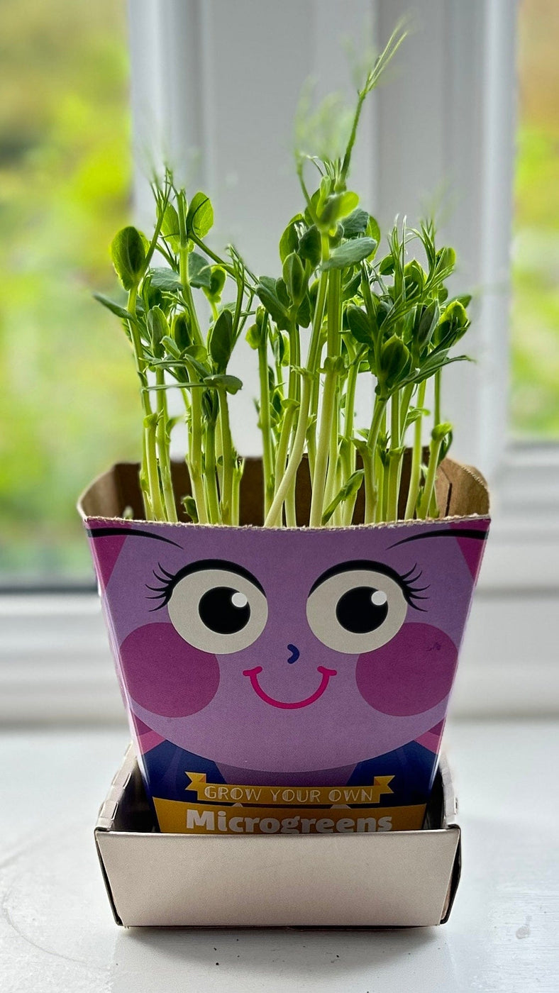 Children's Microgreens & Cress Head Growing Kit - Pea Shoots ...