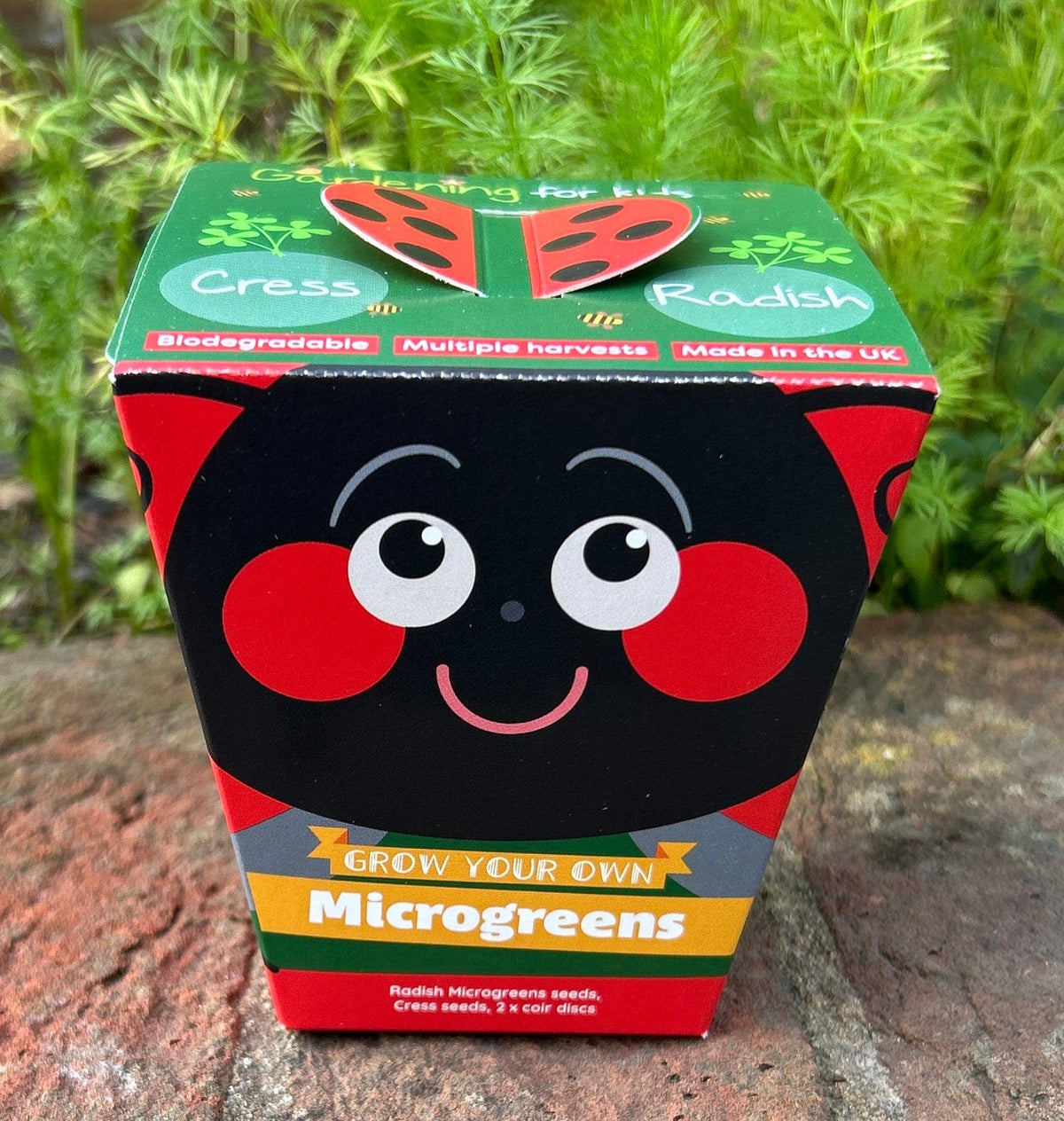 Children's Microgreens & Cress Head Growing Kit - Radish — Gardening ...