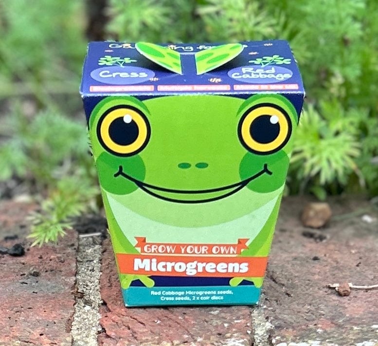 Children's Microgreens & Cress Head Growing Kit - Red Cabbage ...