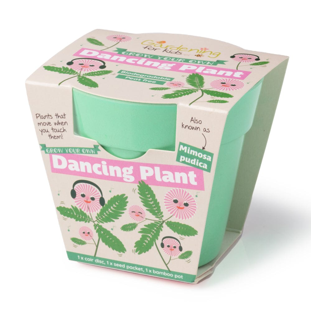 Dancing Plant Growing Kit with Pot — Gardening for Kids