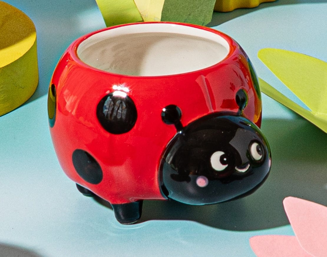 Ladybird Mini Planter — Gardening for Kids