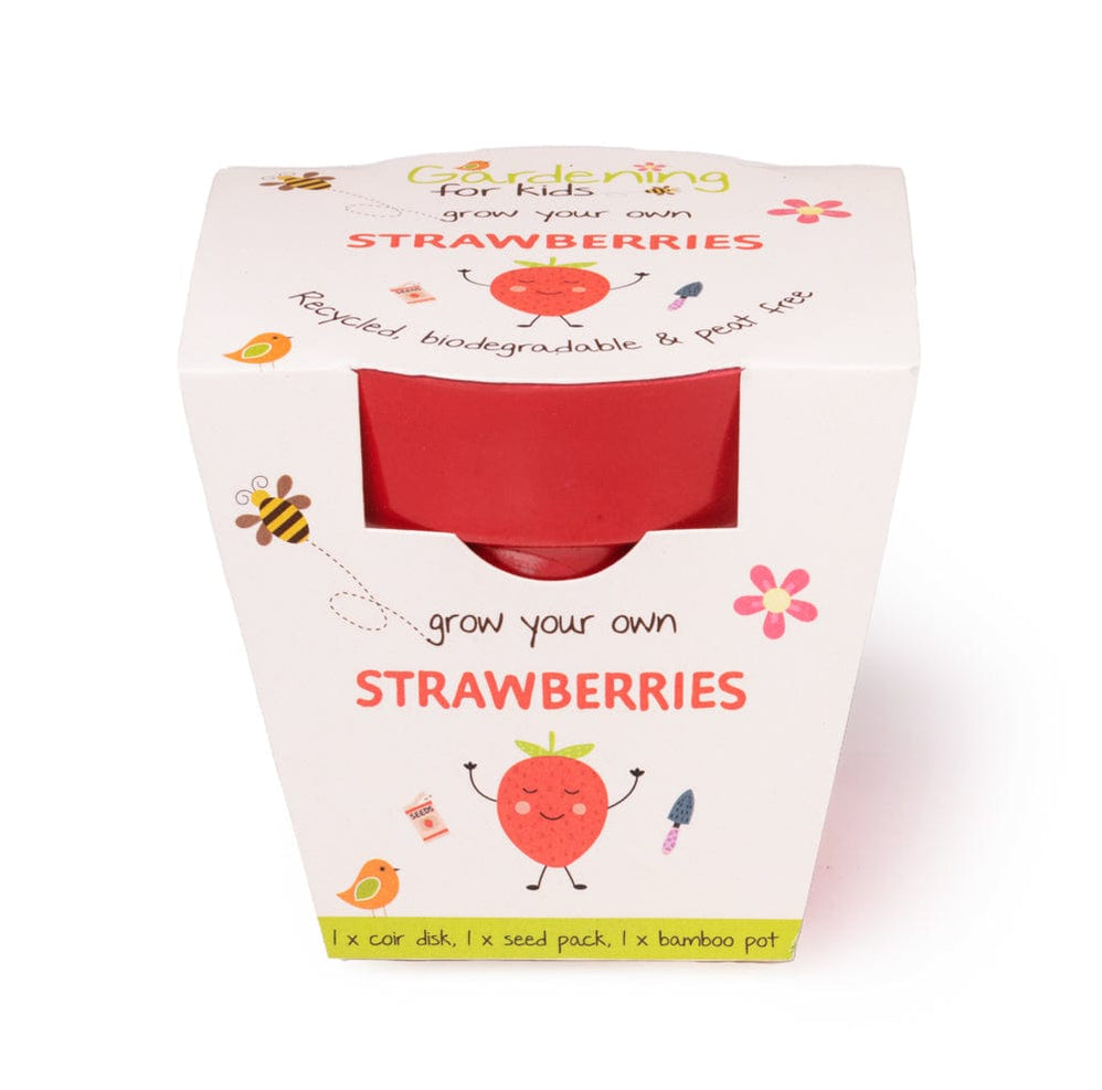 Strawberries Growing Kit with Pot — Gardening for Kids