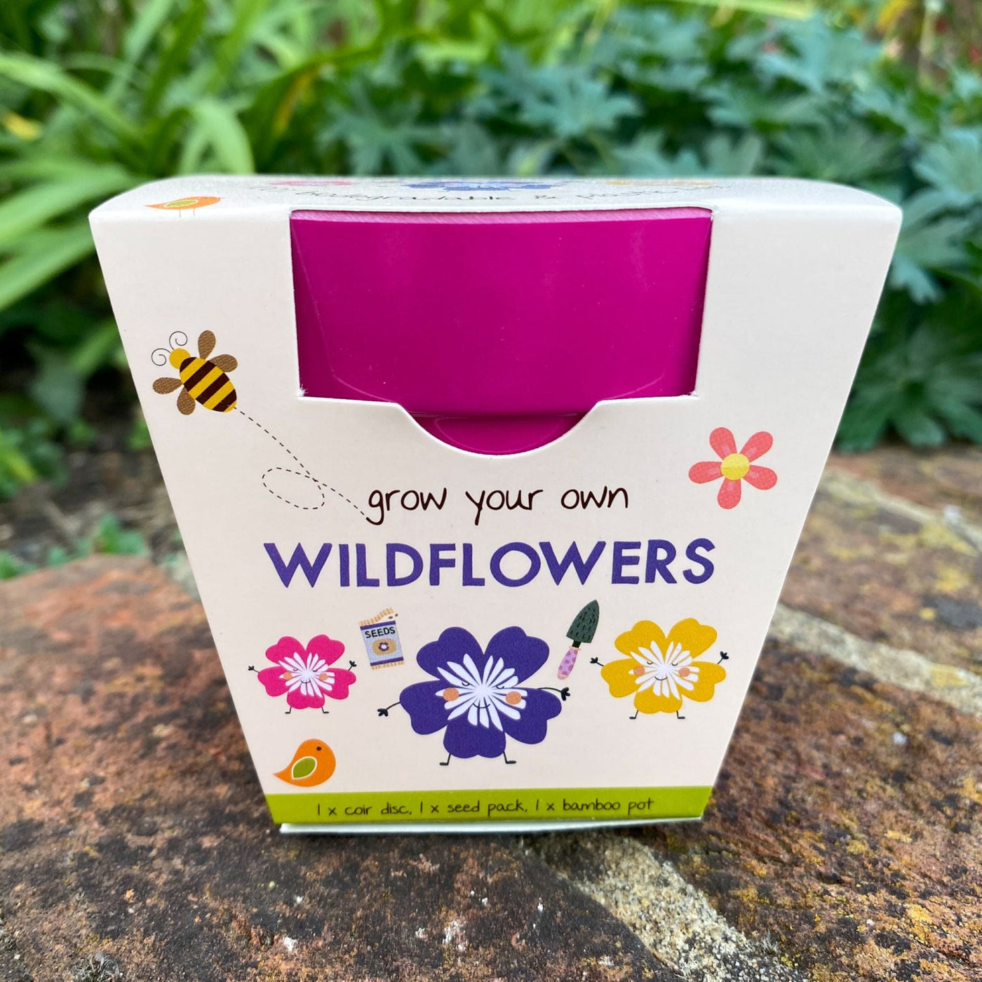 Wildflower Growing Kit | Grow Your Own Wildflower Kit | Gardening for Kids
