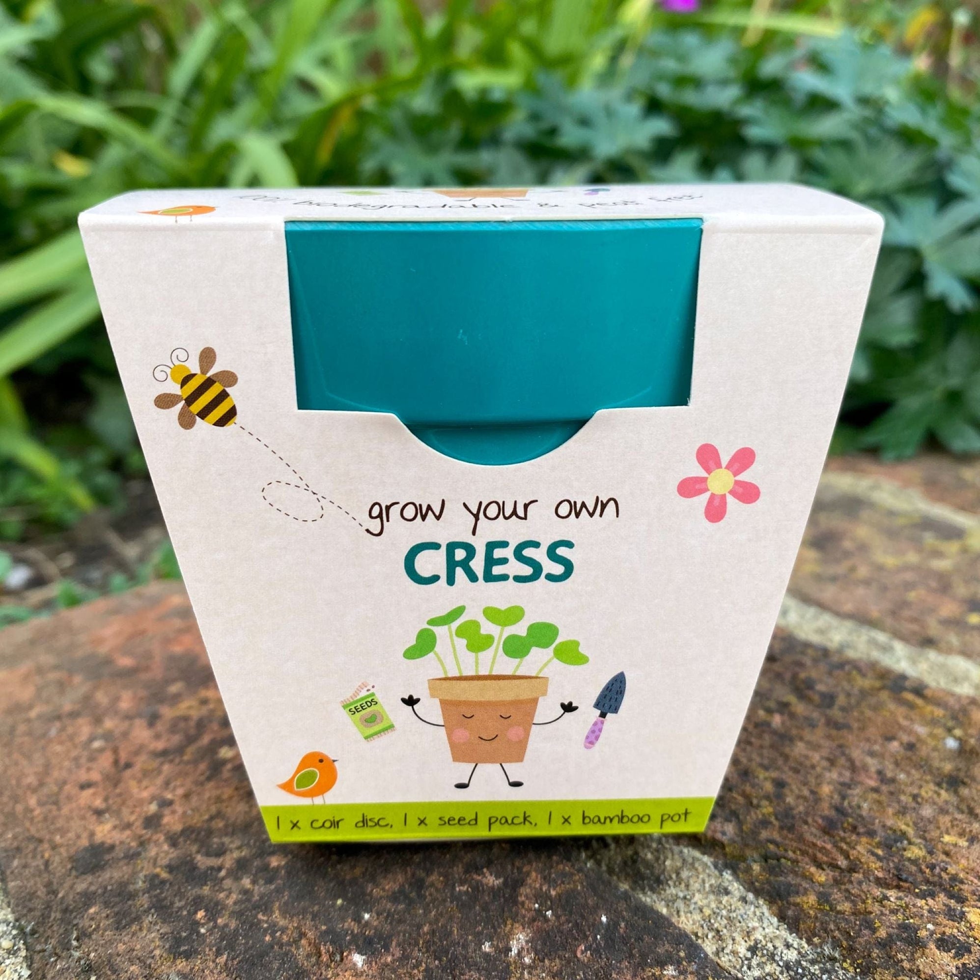 Cress Growing Kit with Pot|Grow your own cress — Gardening for Kids
