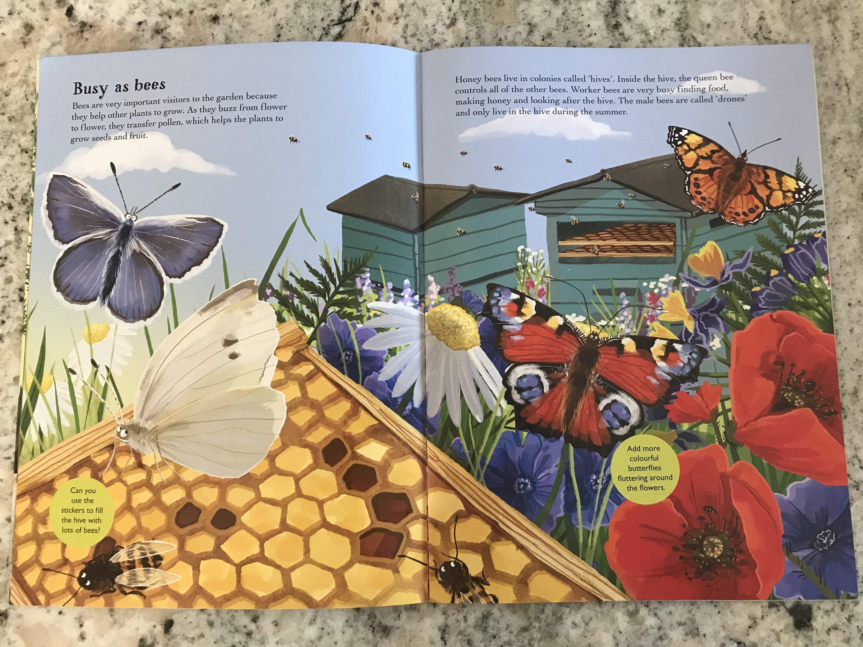 Beetles, Butterflies and Other British Minibeasts Children's Nature ...