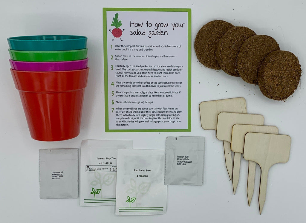 Children's Easy-to-Grow Growing Kits & Pots | Gardening for Kids